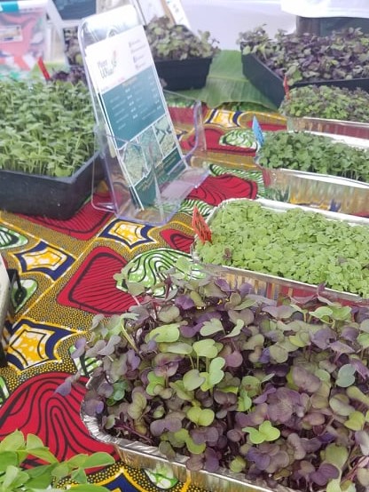 9. Serve Local Food or Source Seafood Sustainably - Sailors for the Sea