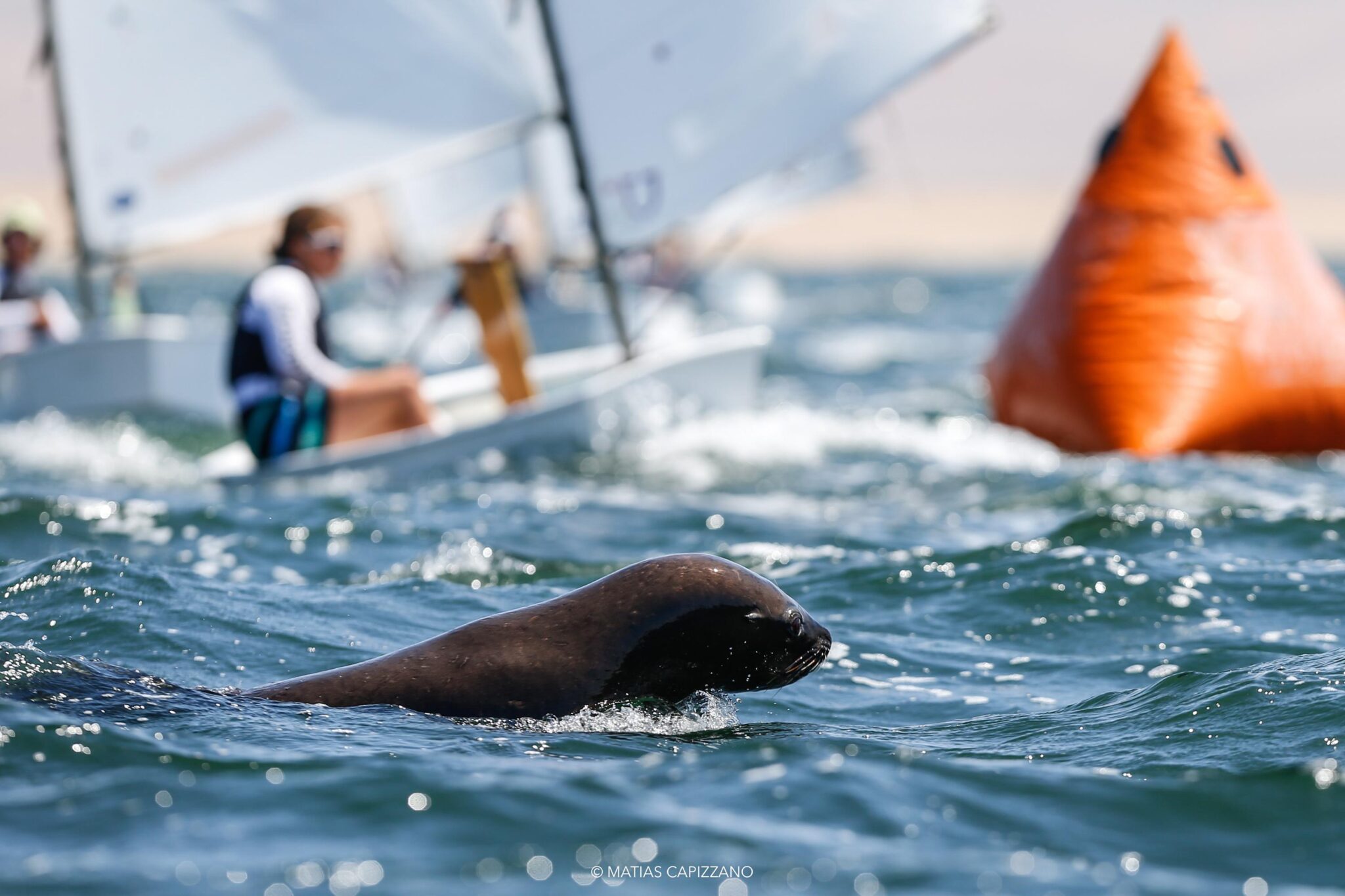 International Optimist Dinghy Association Becomes Newest Clean Class - Sailors for the Sea