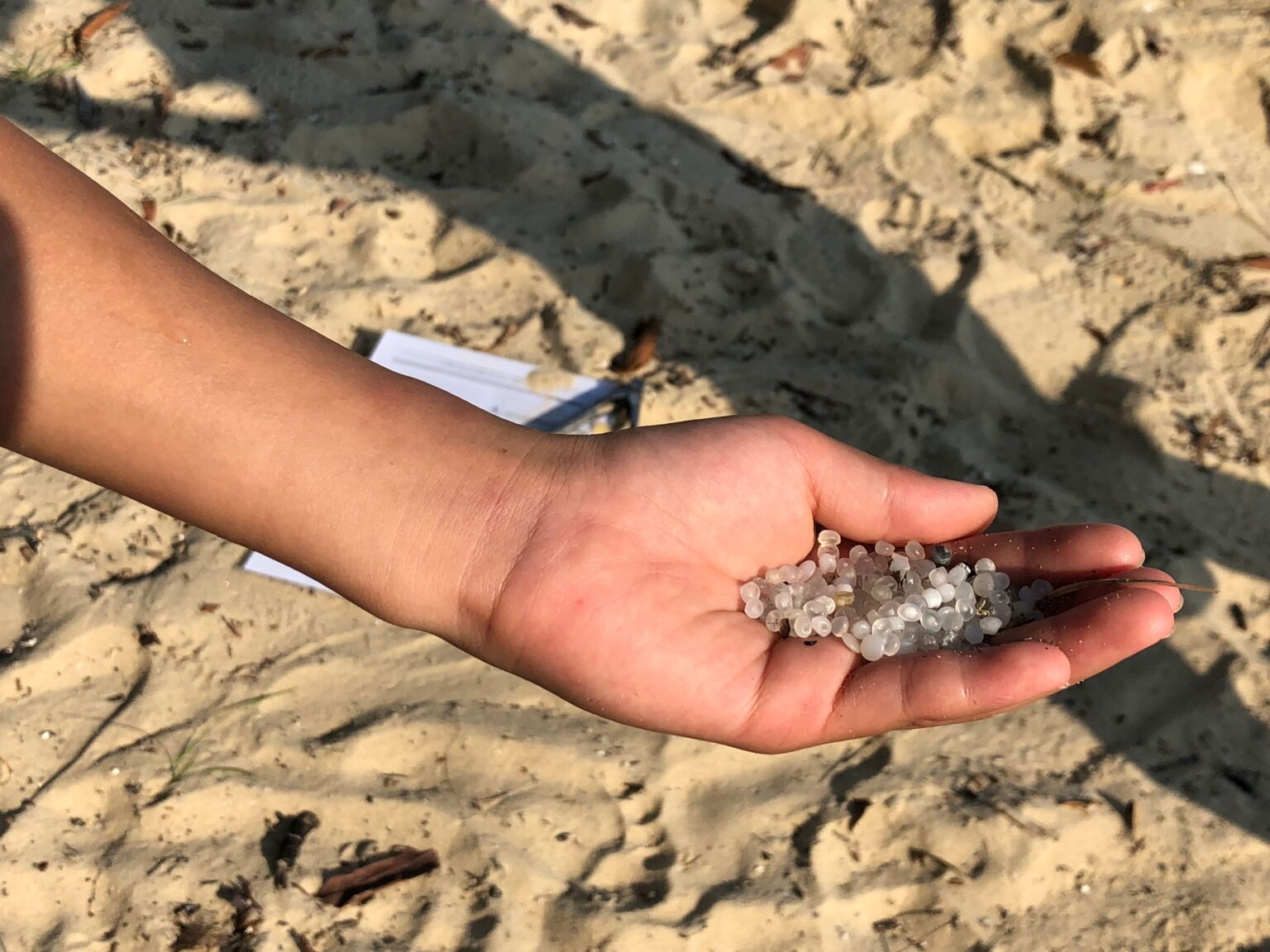 Where Does Plastic Come From? - Sailors for the Sea